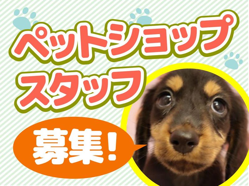 全国展開中の業界最大級のペットショップ「ワンラブ」 | Cheriee NEWS