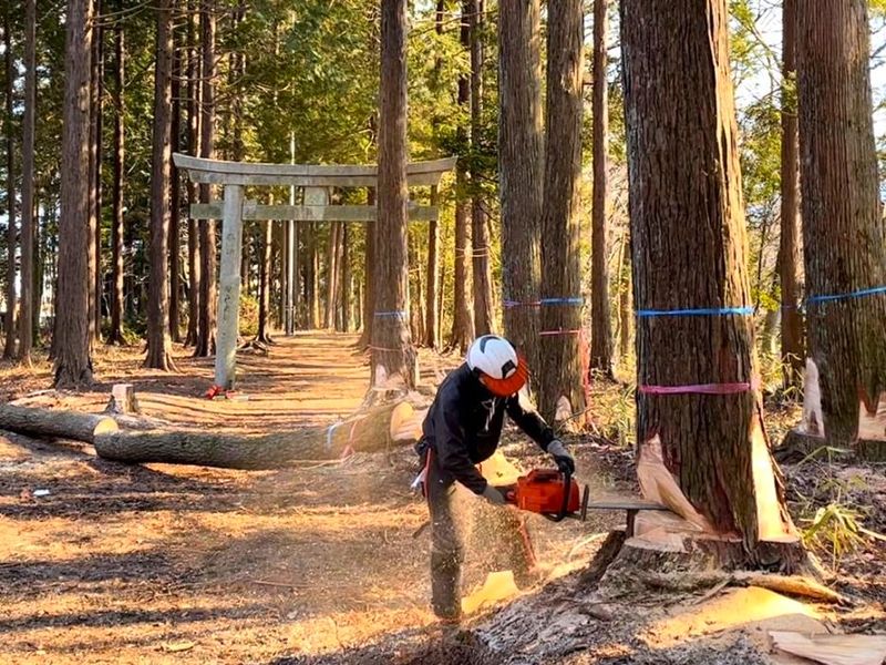 G-forestのアルバイト・バイト求人情報｜【タウンワーク】でバイトやパートのお仕事探し