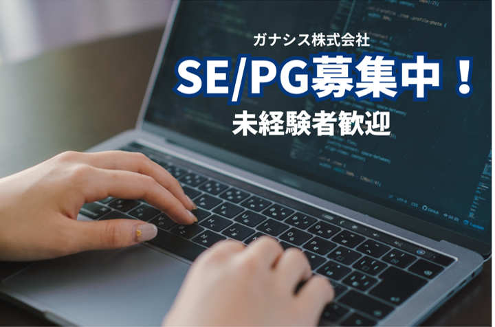 ガナシス株式会社の求人情報 -SE・PG- ｜【リクナビNEXT】で転職！